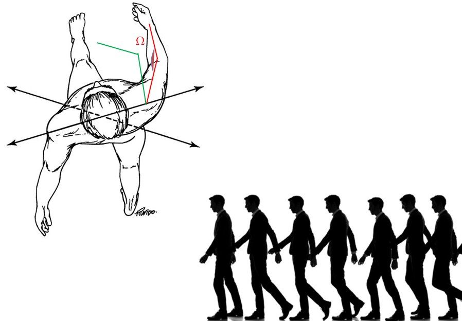 So Who Invented Walking? Human Is Not The First Animal To Have Invented ...