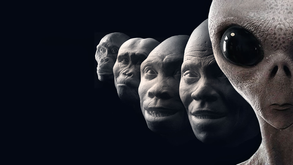 What Will Humans Look Like in 1 Million Years? | Evolution, Technology ...