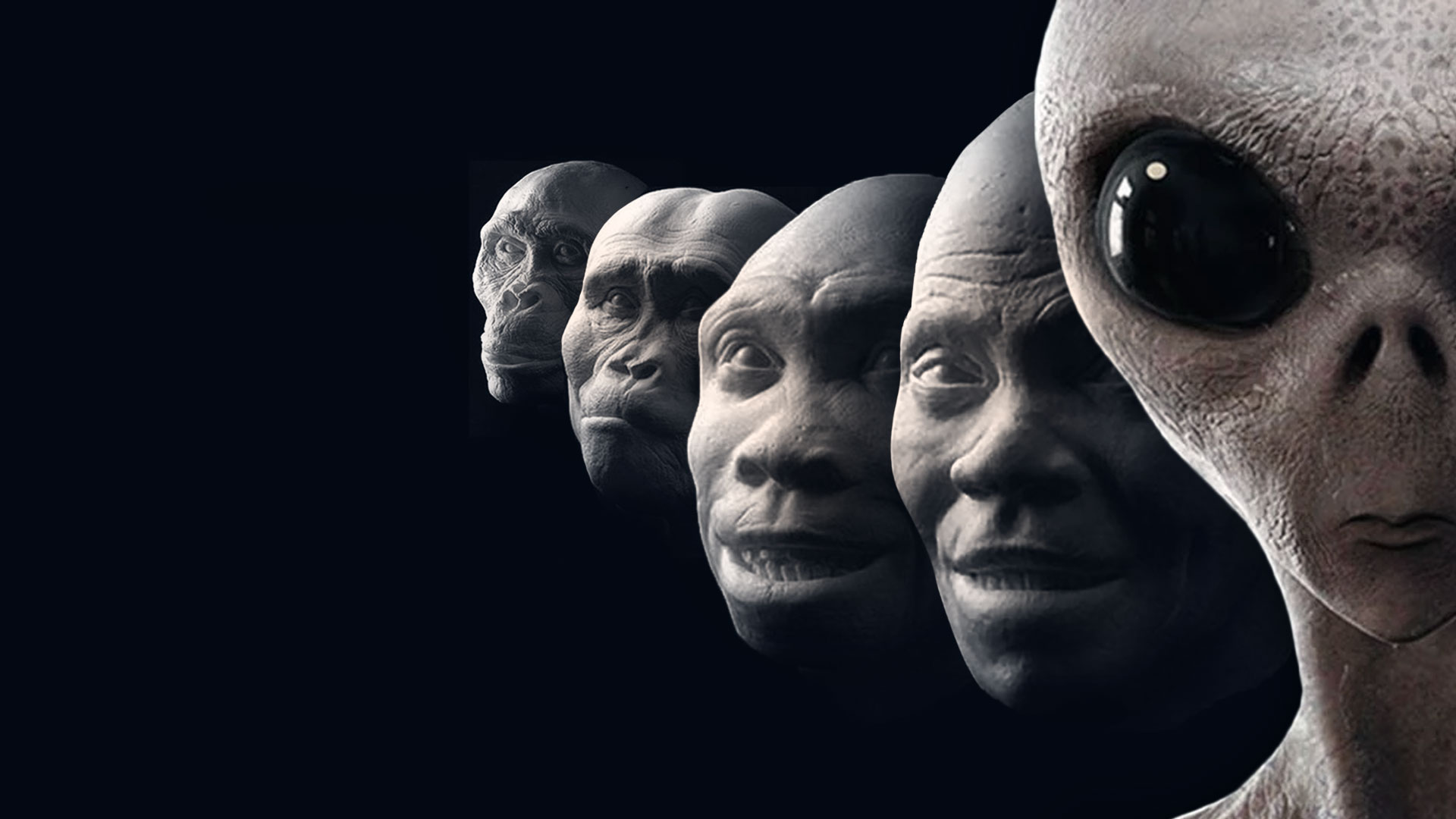 What Will Humans Look Like in 1 Million Years? | Evolution, Technology ...